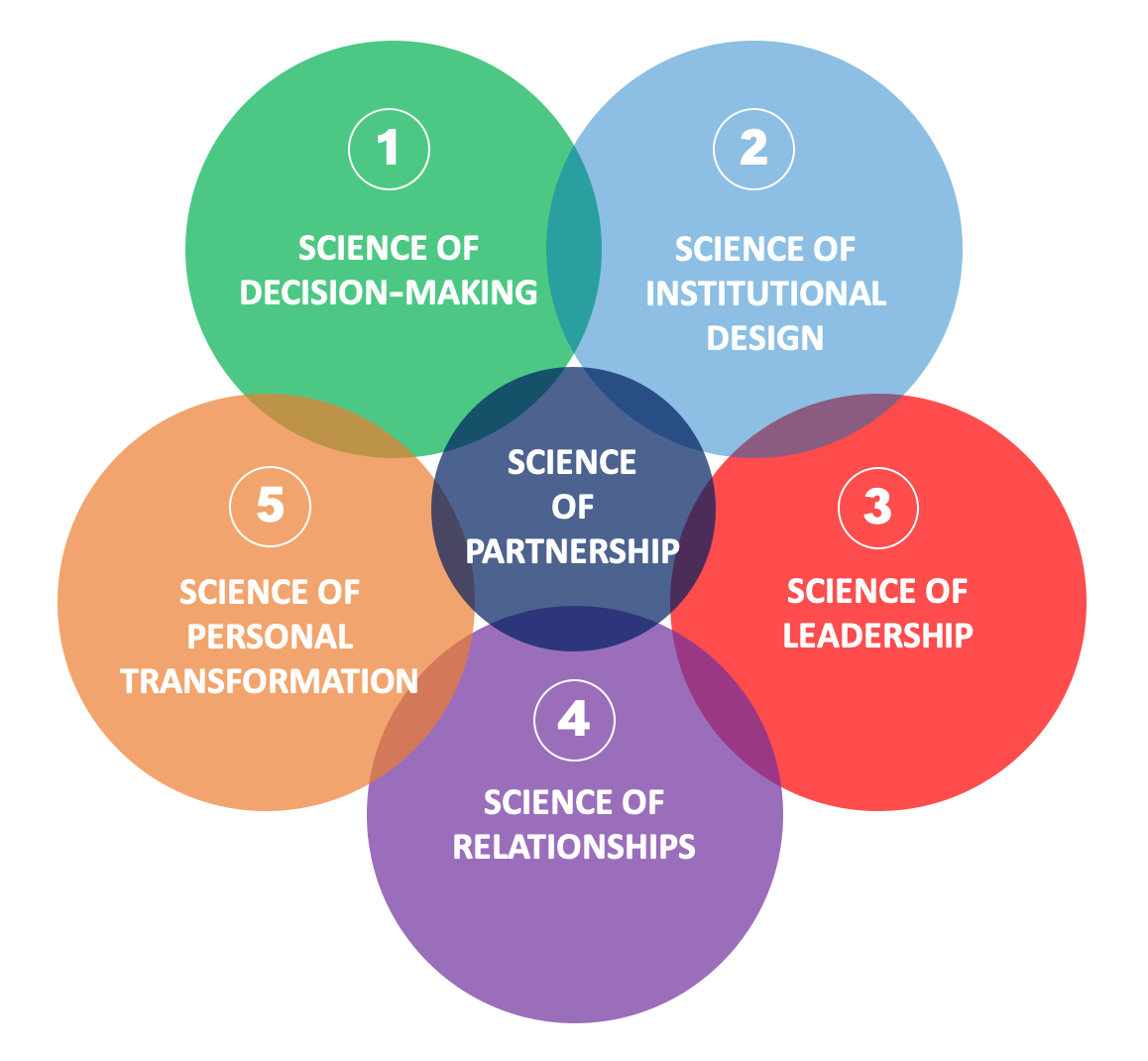 What we are learning – NOBLE PARTNERS INSTITUTE